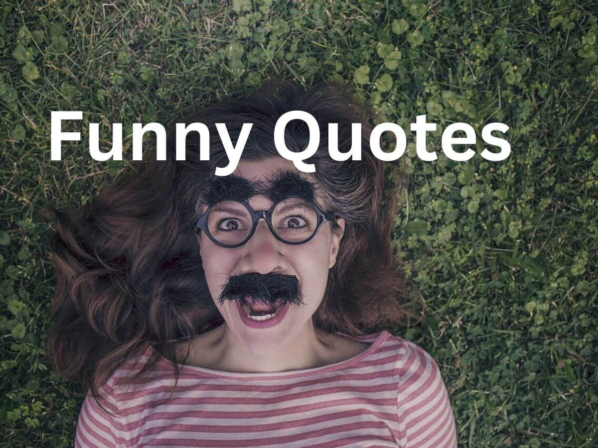 50 Funny Quotes To Make You Laugh And Brighten Your Day